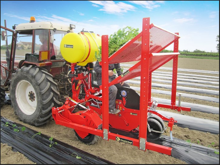 5 Differences Between Manual VS Machine Transplanting Process 